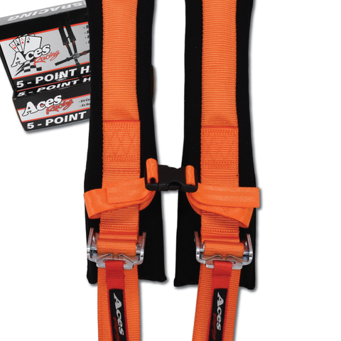 5 Point Harness for Polaris RZR – Aces Racing